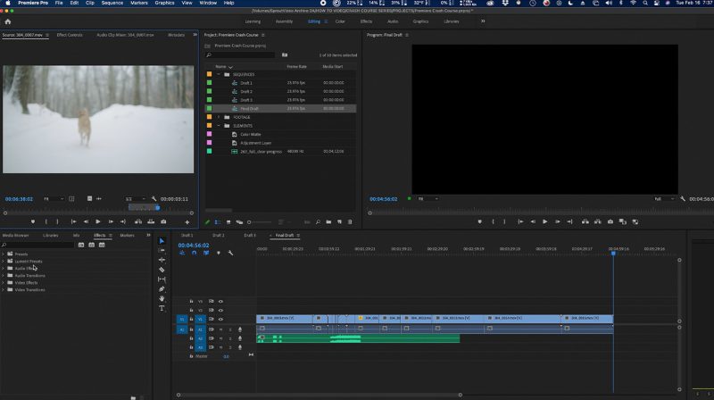 Video Editing Basics with Adobe Premiere Pro | SproutVideo